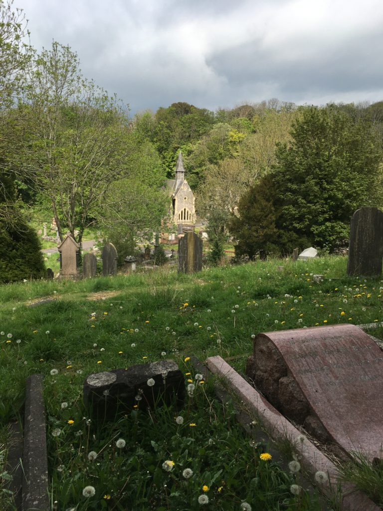 Auf den Spuren von Violet Grave in GRABSÜCHTIG: Der Woodvale Extra ...